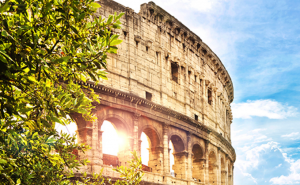 School of Social Transformation: Women and Gender Studies | Study ...